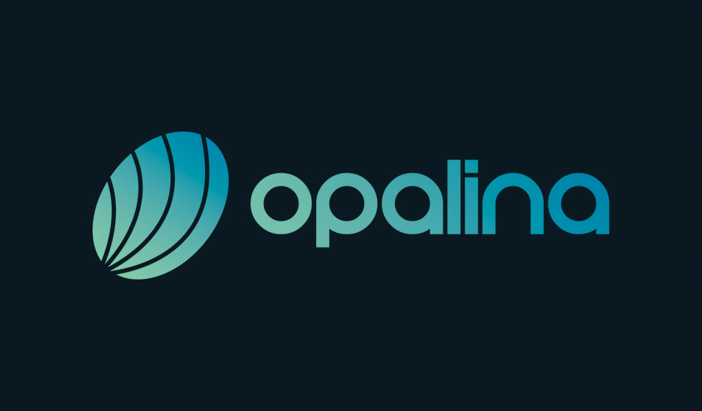 Opalina Technologies: A Software Services Company